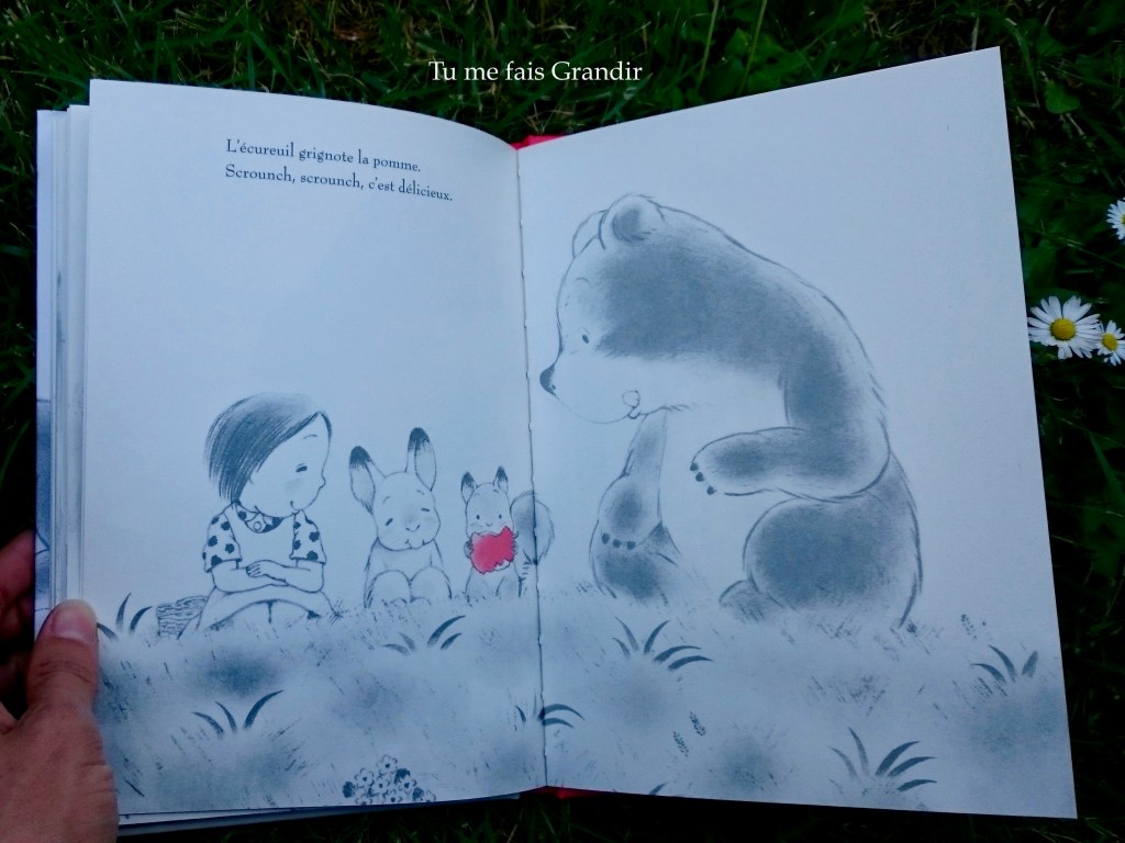 La pomme rouge de Kazuo Iwamura {livre #30} – Tu me fais Grandir