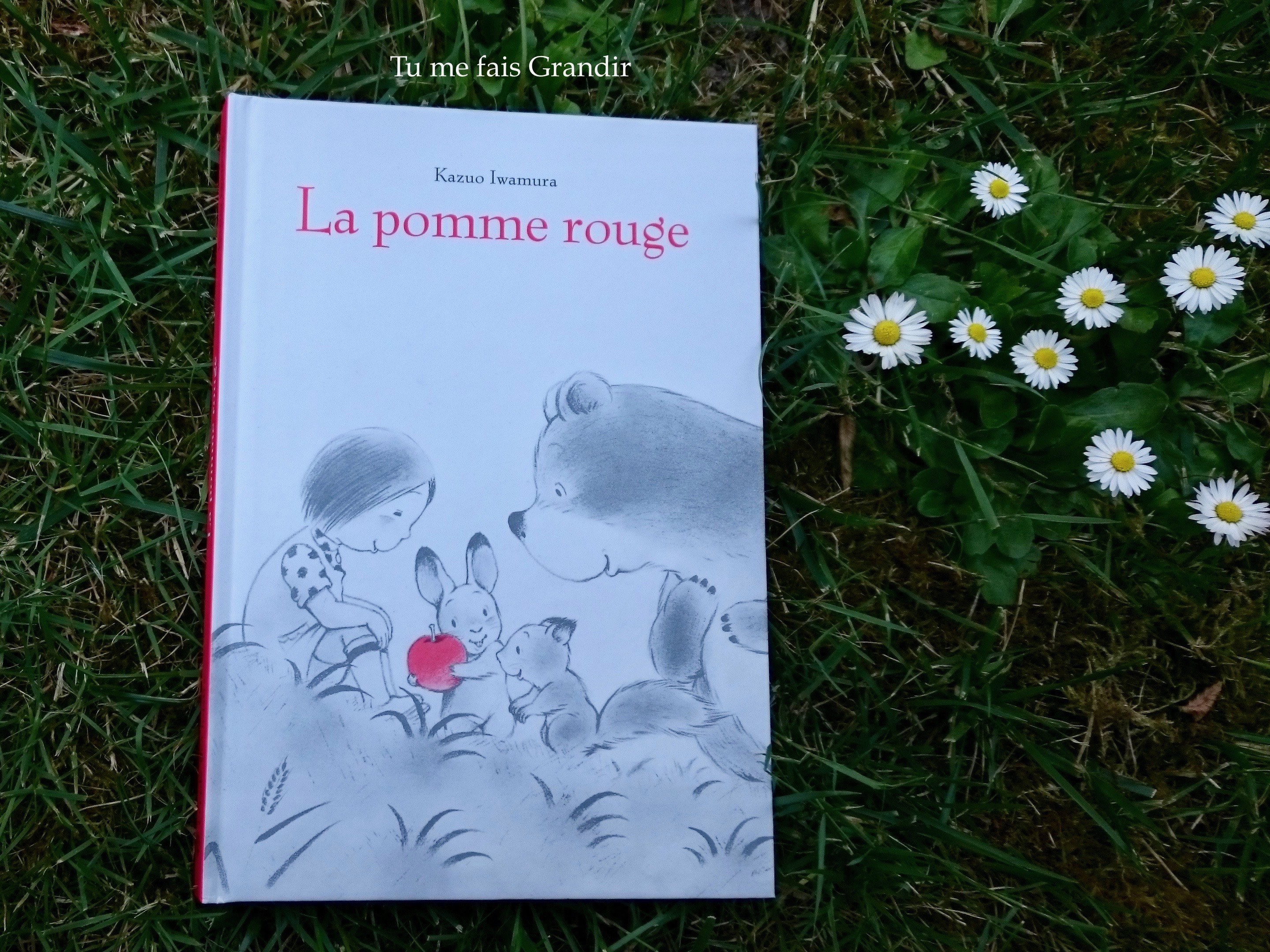 La pomme rouge de Kazuo Iwamura {livre #30} – Tu me fais Grandir